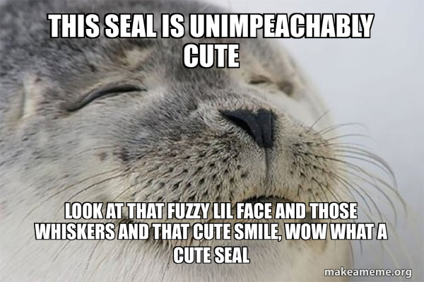 This seal is unimpeachably cute look at that fuzzy lil face and those ...