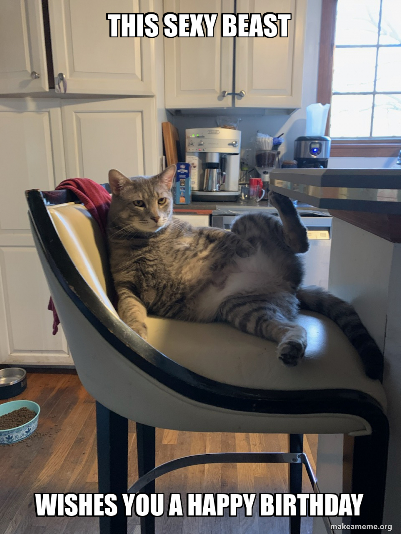 This sexy beast Wishes you a happy birthday Meme Generator