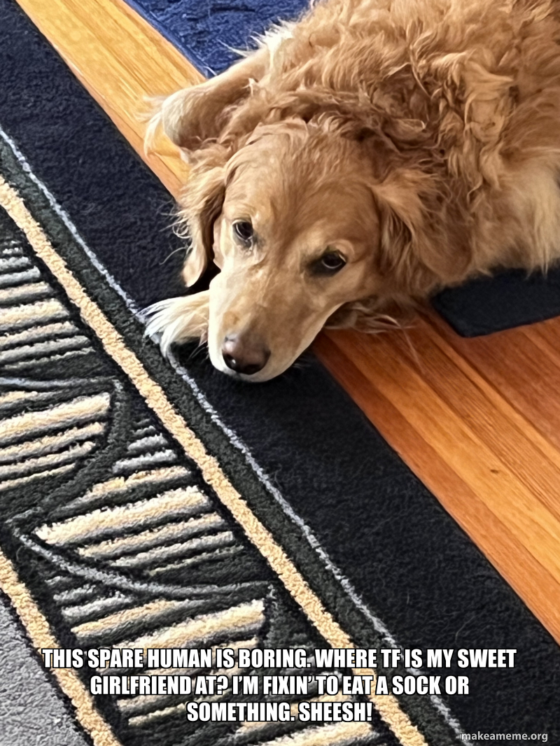 This spare human is boring. Where tf is my sweet girlfriend at? I’m ...