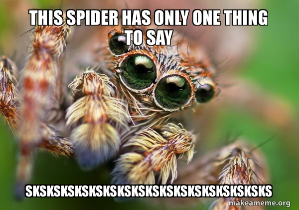 this spider has only one thing to say ...