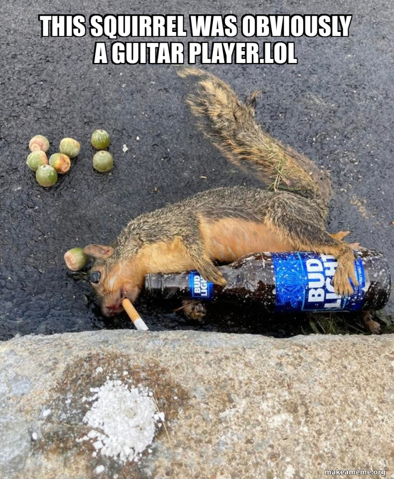 This squirrel was obviously a guitar PLAYER.lol Meme Generator