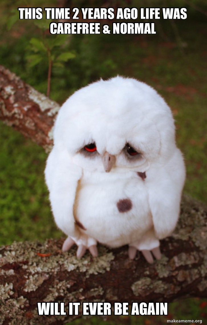 This time 2 years ago life was carefree & normal Will it ever be again ...