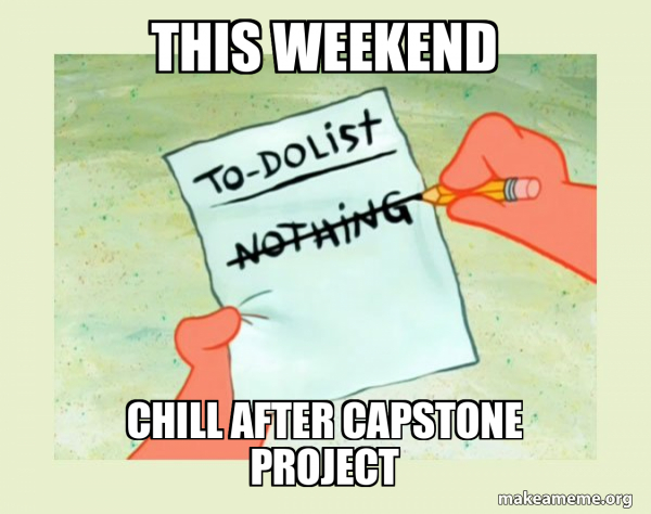 This weekend Chill after capstone project - To Do List - Nothing Meme ...