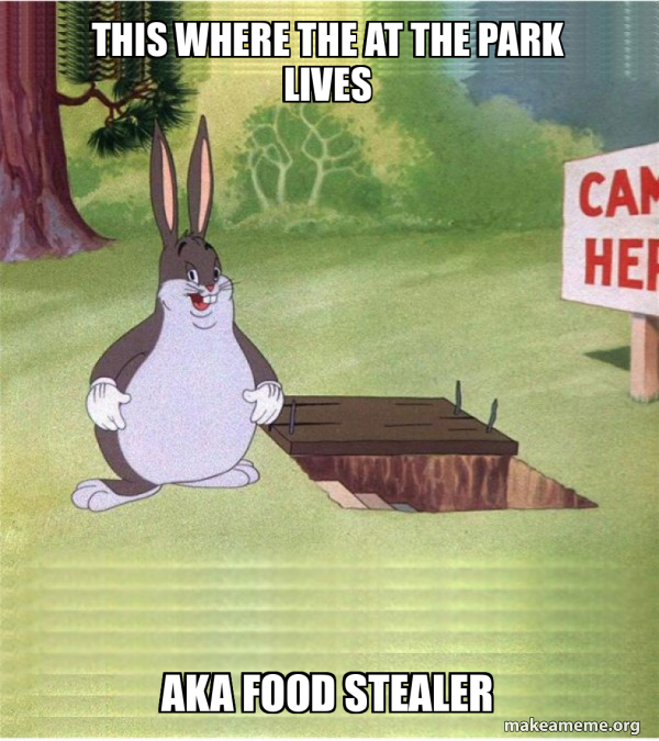This where the at the park lives Aka FOOD STEALER - Big Chungus Meme ...