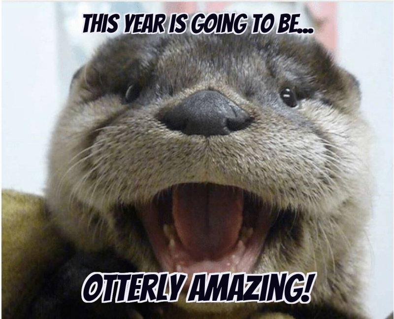 This Year is going to be... otterly Amazing! Meme Generator