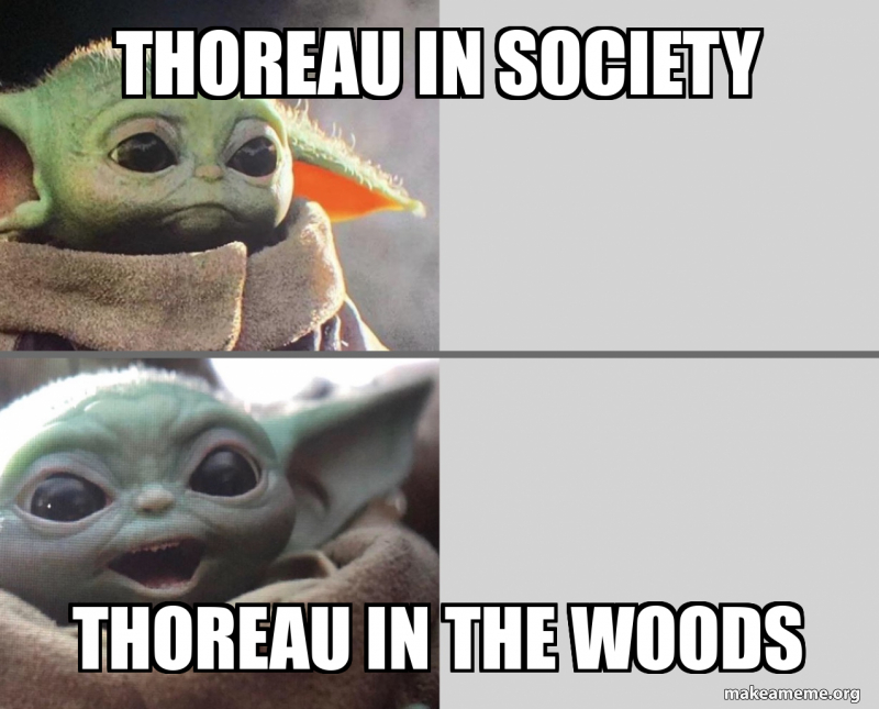 Thoreau in society Thoreau in the woods Meme Generator