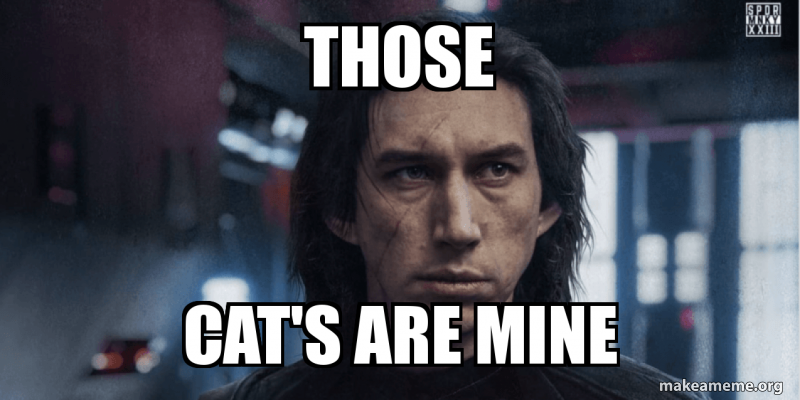 those cat's are mine Meme Generator