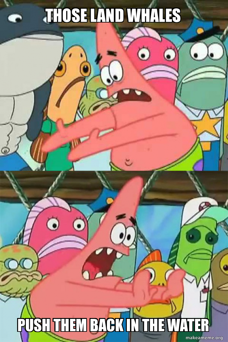 Those land whales Push them back in the water - Push It Somewhere Else Patrick Meme Generator