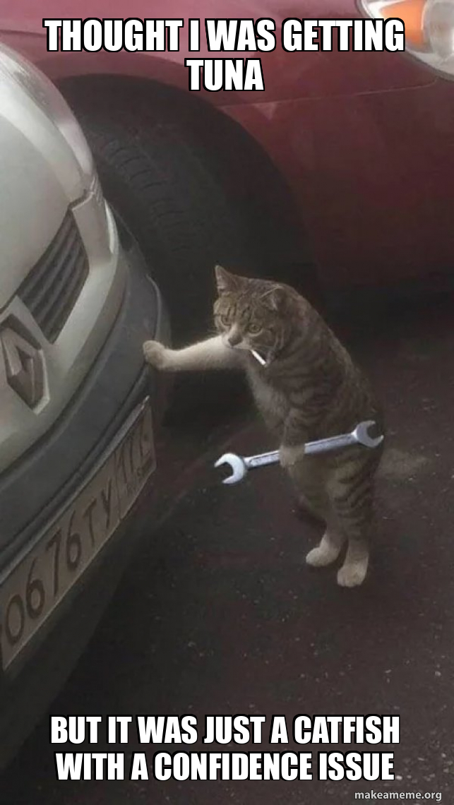 Thought I was getting tuna But it was just a catfish with a confidence ...