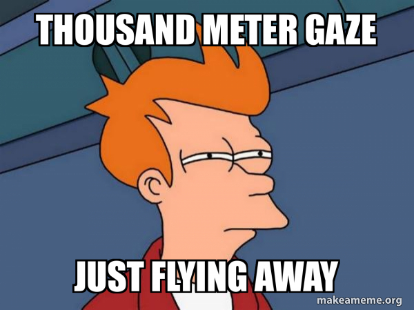 Thousand meter gaze Just flying away - Futurama Fry Meme Generator