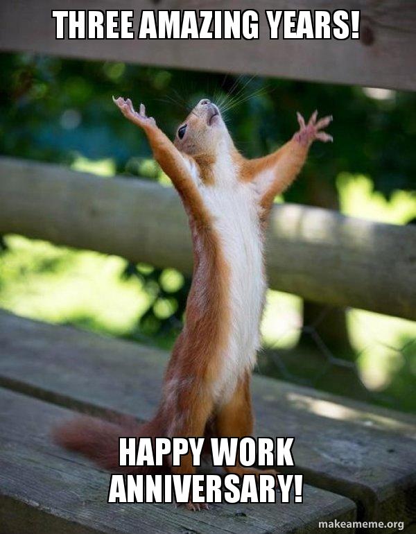 Three Amazing Years! Happy Work Anniversary! - Happy Squirrel Meme ...