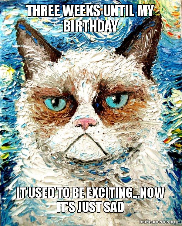 Sad Birthday Cat Memes