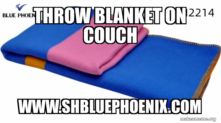 Throw Blanket on Couch www.shbluephoenix.com Meme Generator