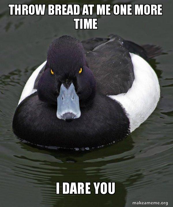 Throw bread at me one more time I dare you - Revenge Duck ( Angry ...
