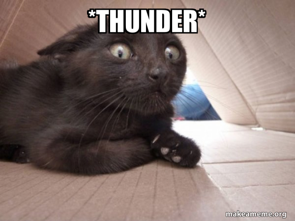 *thunder* - Schitzo Cat Meme Generator
