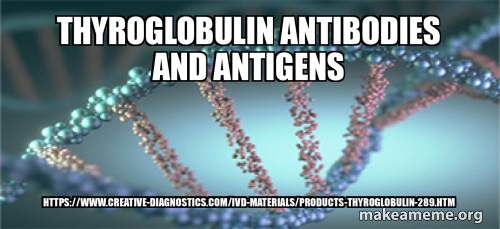 Thyroglobulin Antibodies and Antigens https://www.creative-diagnostics ...
