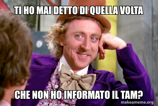 ti ho mai detto di quella volta che non ho informato il tam ...