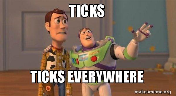 TICKS Ticks Everywhere - Buzz and Woody (Toy Story) Meme Meme Generator