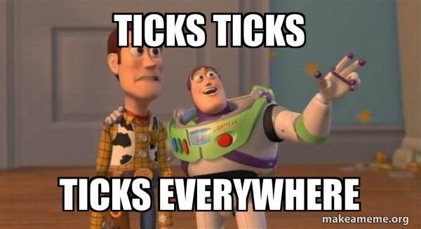 ticks ticks ticks everywhere - Buzz and Woody (Toy Story) Meme Meme ...