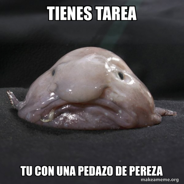 Tienes tarea Tu con una pedazo de pereza - Blobfish Meme Generator