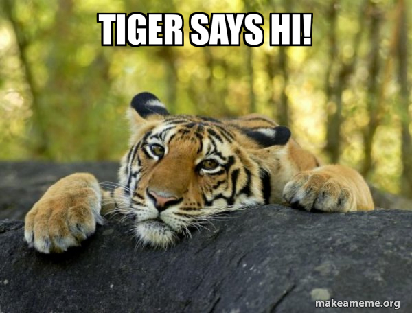 Tiger says hi! - Confession Tiger Meme Generator