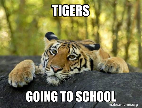 tigers going to school - Confession Tiger Meme Generator