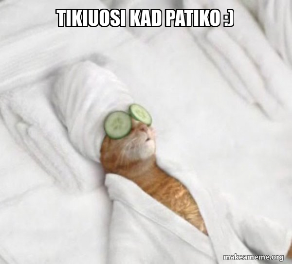 Tikiuosi kad patiko :) - Pampered Cat Meme Meme Generator