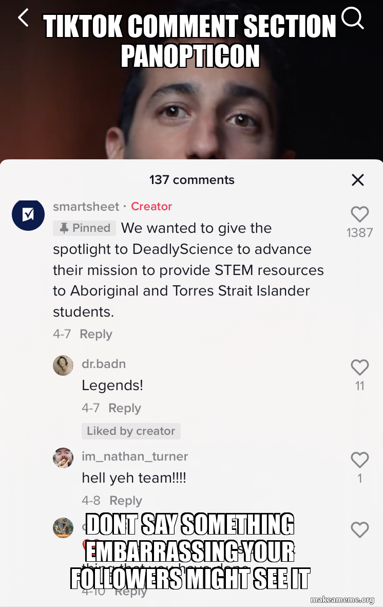 Tiktok comment section panopticon dont say something embarrassing your ...