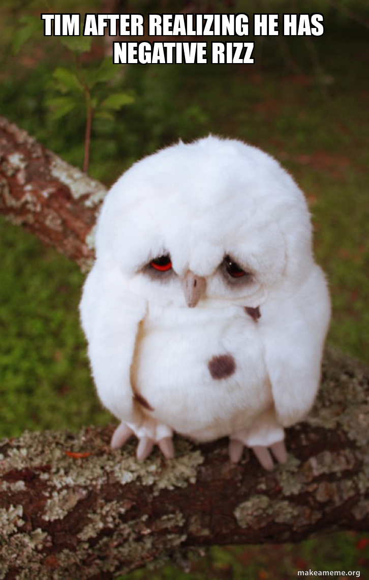 Tim after realizing he has negative rizz - Sad Owl Meme Generator