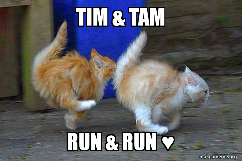 Tim & Tam Run & Run â™¥ Meme Generator