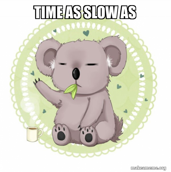 TIME AS SLOW AS - Aussie Koala doing the night shift Meme Generator