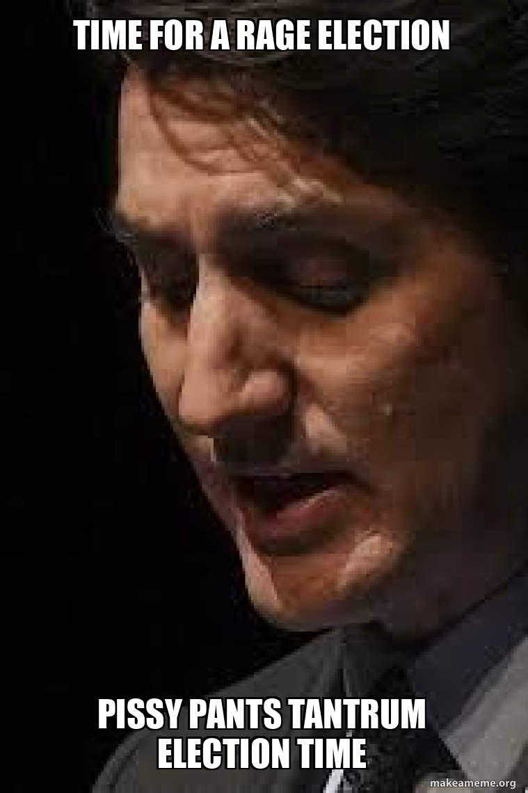 Time for a rage election Pissy pants tantrum election time Meme Generator