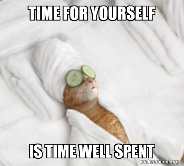 Time for yourself is time well spent - Pampered Cat Meme Meme Generator