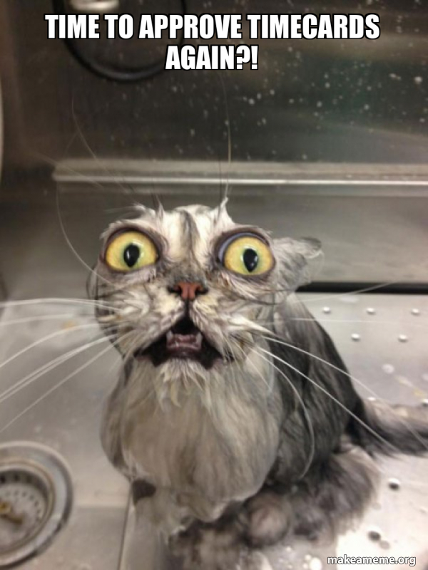 Time to approve timecards again?! - Cat bath Meme Generator