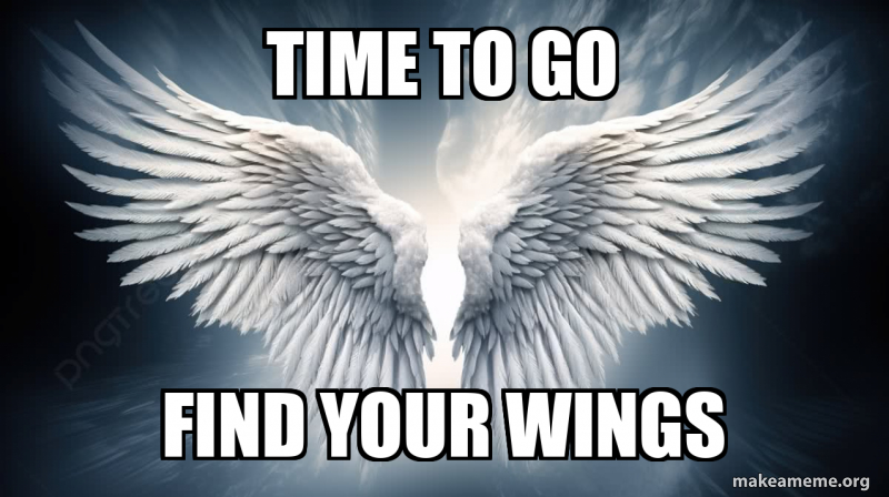 Time to go find your wings Meme Generator