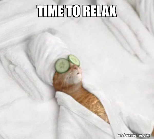 Time to relax - Pampered Cat Meme Meme Generator