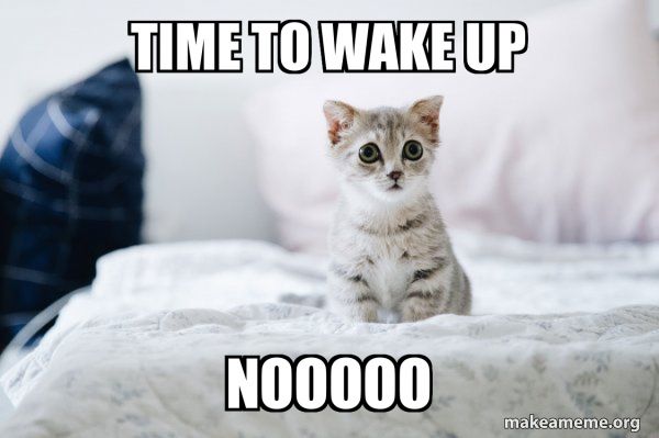 time to wake up nooooo - Cute Kitten Meme Generator