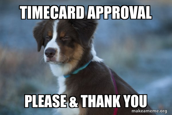 Timecard approval please & thank you - Unsure Dog Meme Generator