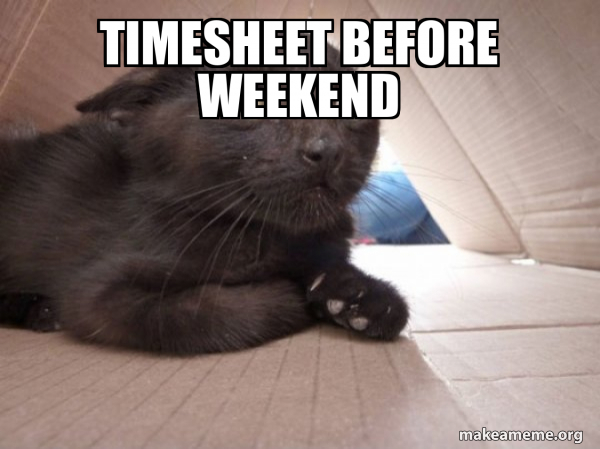 Timesheet before WEEKEND - Schitzo Cat Meme Generator