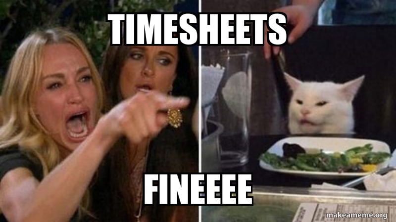 TIMESHEETS FINEEEE Meme Generator