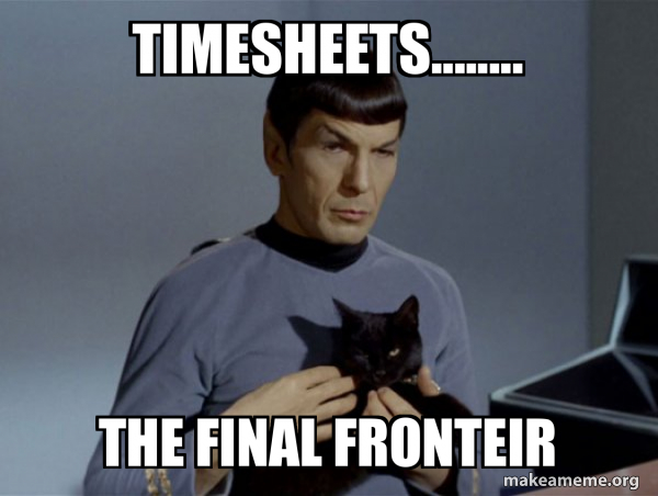 Timesheets........ the final fronteir - Spock and Cat Meme Meme Generator
