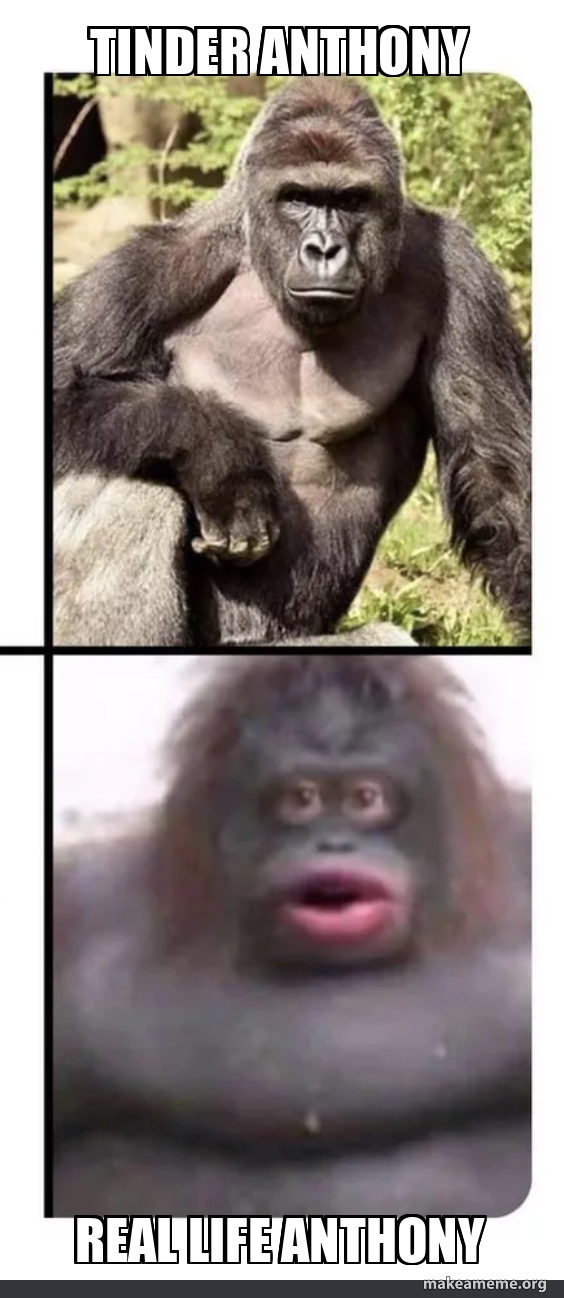 Tinder Anthony Real life anthony Meme Generator