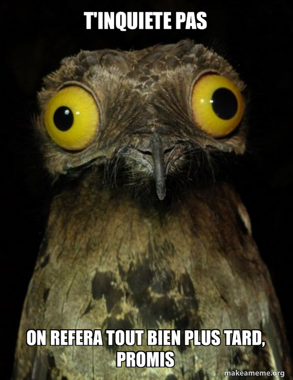 T'INQUIETE PAS ON REFERA TOUT BIEN PLUS TARD, PROMIS - Weird Stuff I do ...
