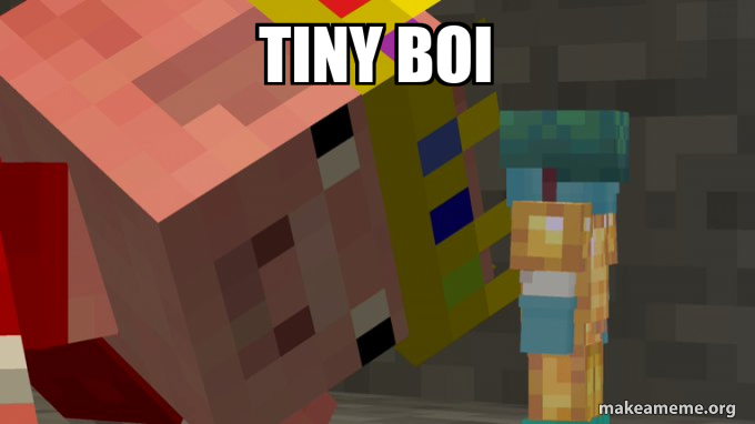 TINY BOI Meme Generator