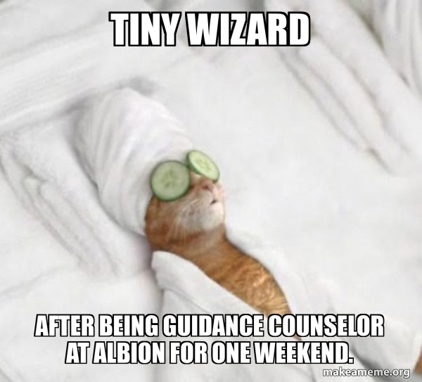 Tiny wizard After being guidance counselor at Albion for one weekend ...