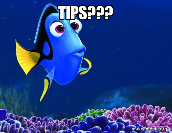 Tips??? - Dory from Nemo (5 second memory) Meme Generator