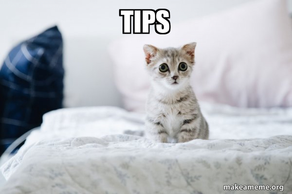 tips - Cute Kitten Meme Generator