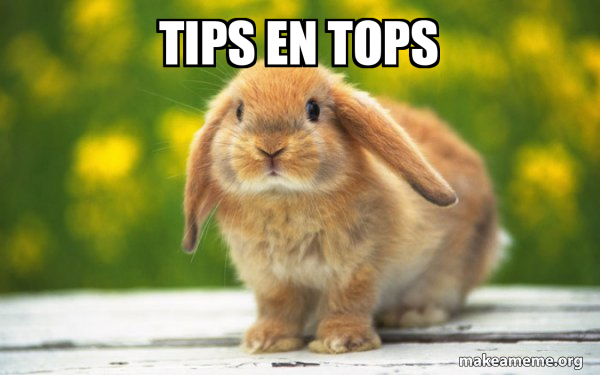 Tips en Tops - Regretful Rabbit Meme Generator