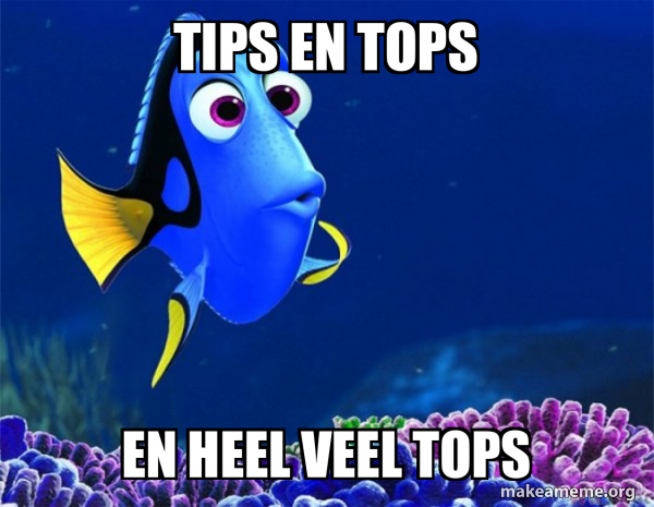 Tips en tops EN heel veel tops - Dory from Nemo (5 second memory) Meme ...
