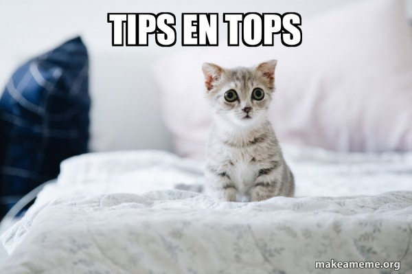 Tips en tops - Cute Kitten Meme Generator